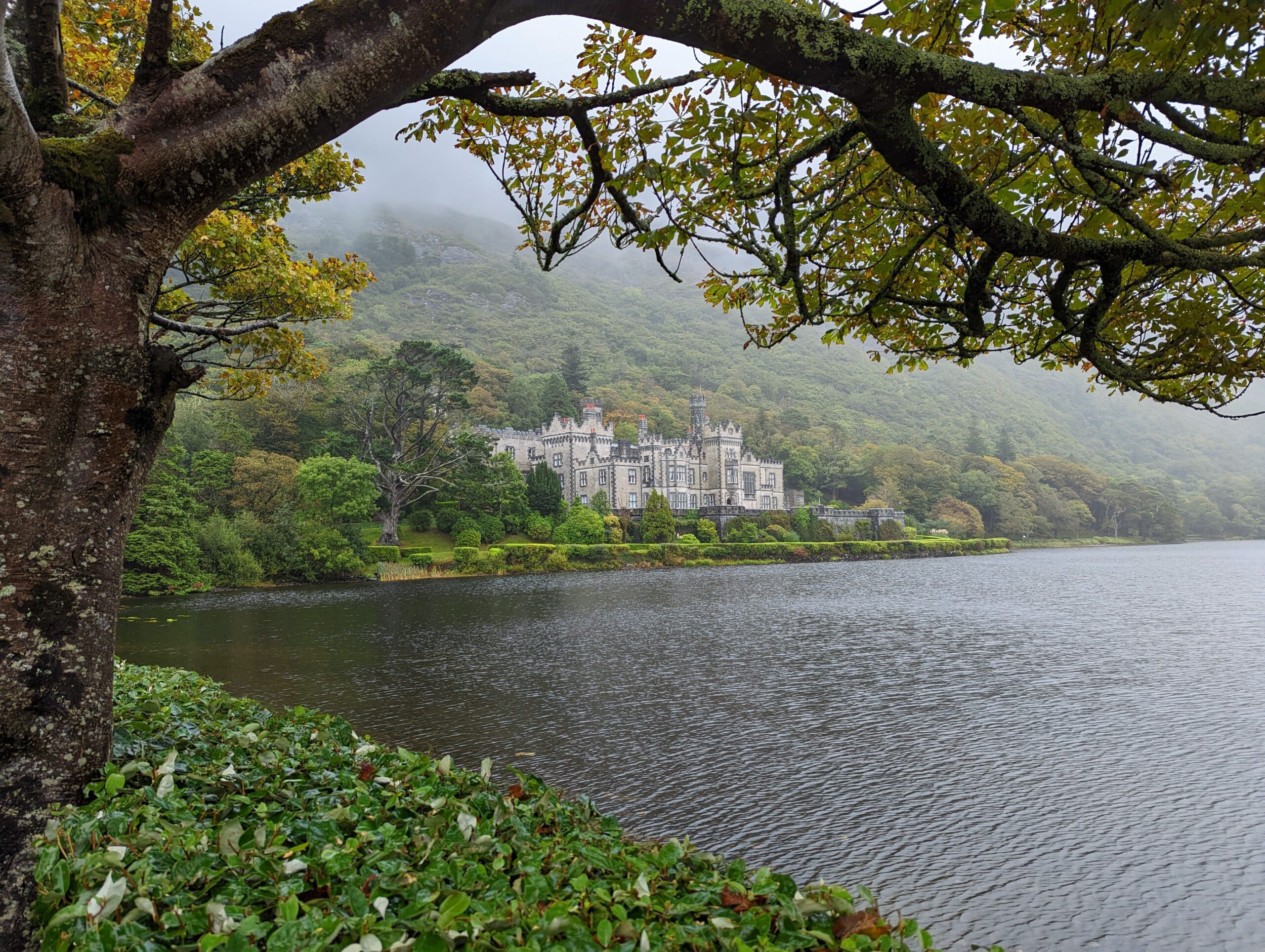 Solo Travel Over 50: Ireland on a Group Tour - JourneyWoman