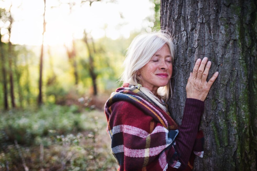 Five Beloved Books That Connect Women to Trees - JourneyWoman